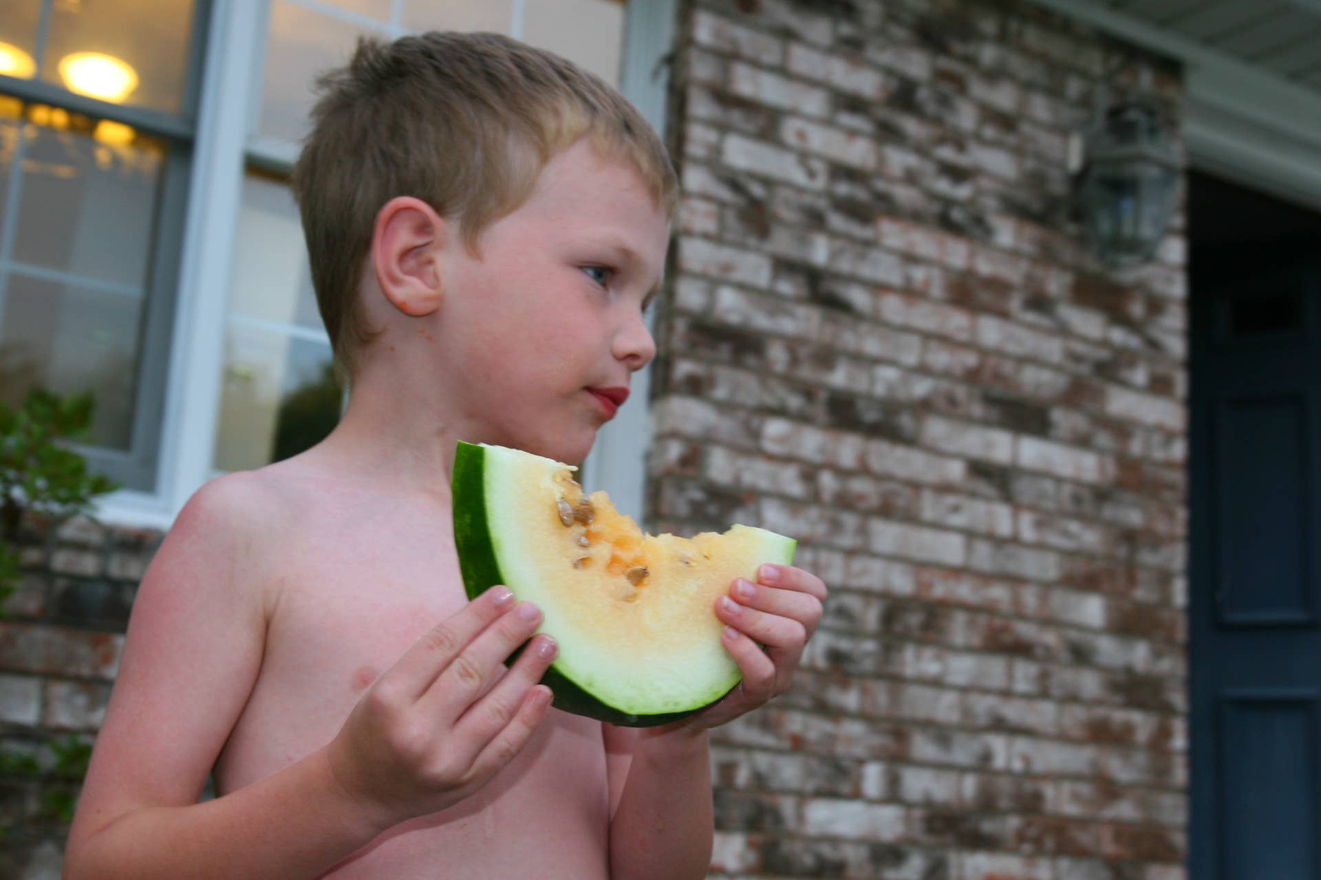 How to Grow Orange Tendersweet Heirloom Watermelons - Dengarden