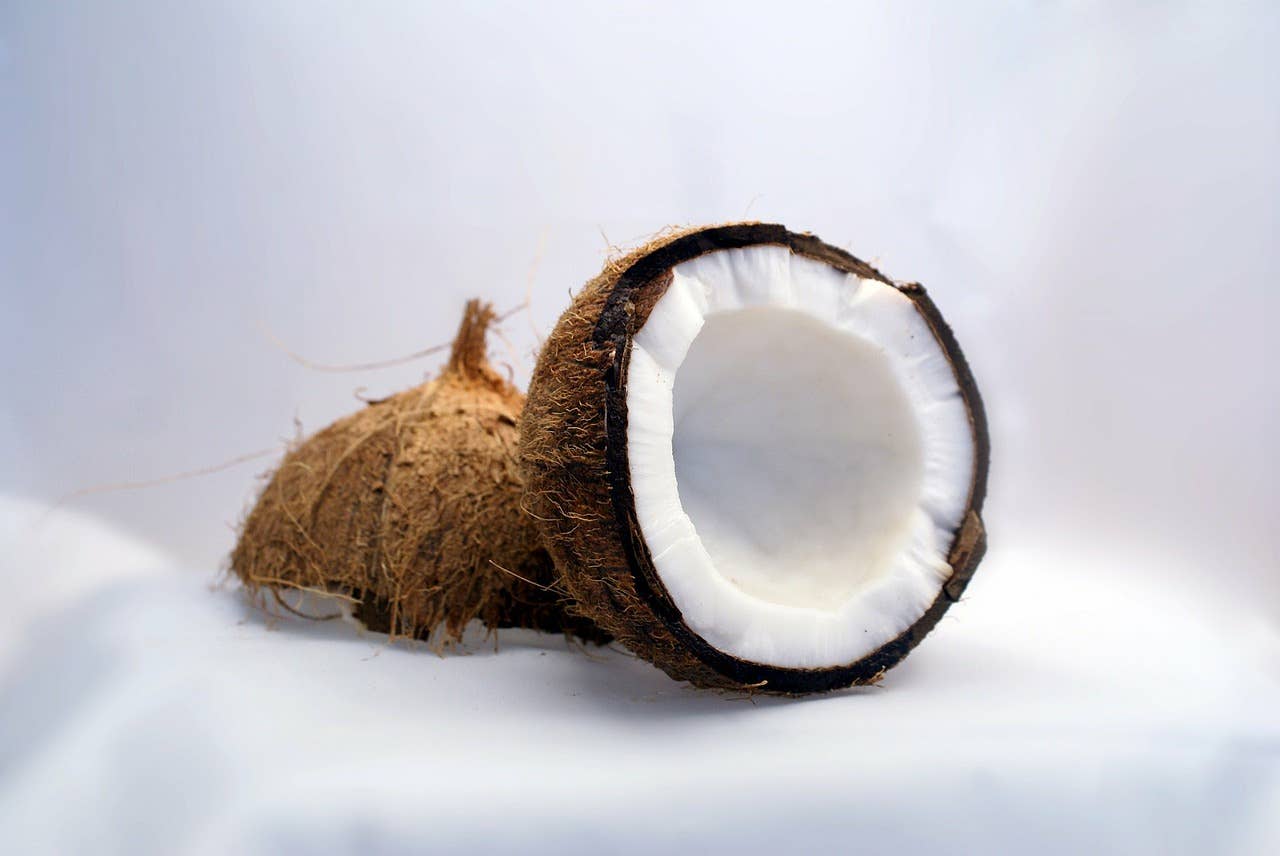 10 Uses of Coconut Trees: From Coconut Water to Coir Umbrellas - Dengarden