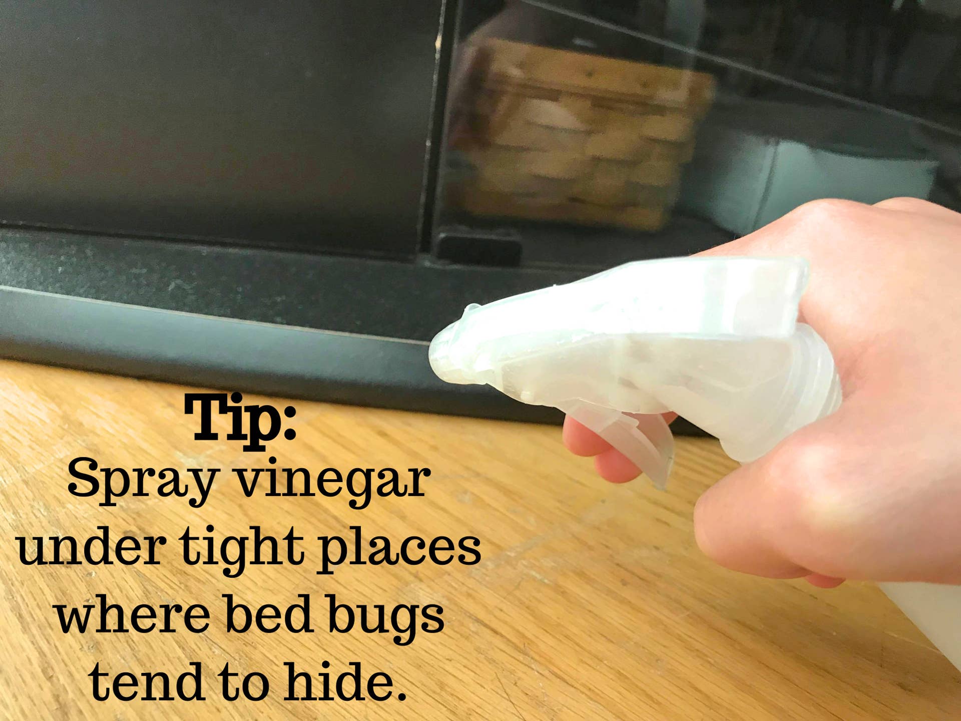 How to Make a Homemade Bed Bug Killer Spray With Vinegar - Dengarden