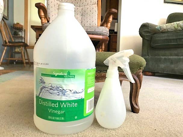 How to Make a Homemade Bed Bug Killer Spray With Vinegar - Dengarden