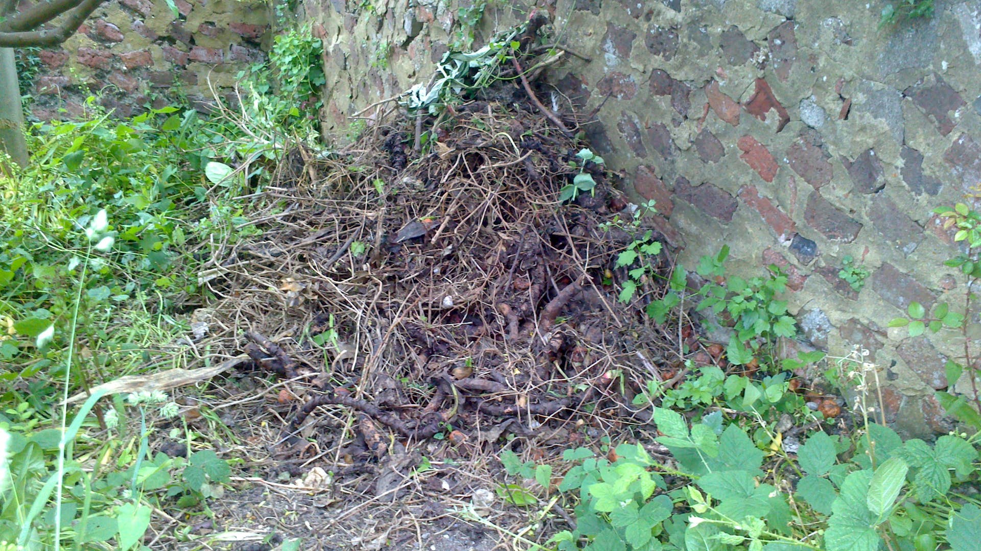 How to Fix Slimy Compost and Stop It From Turning to Sludge - Dengarden