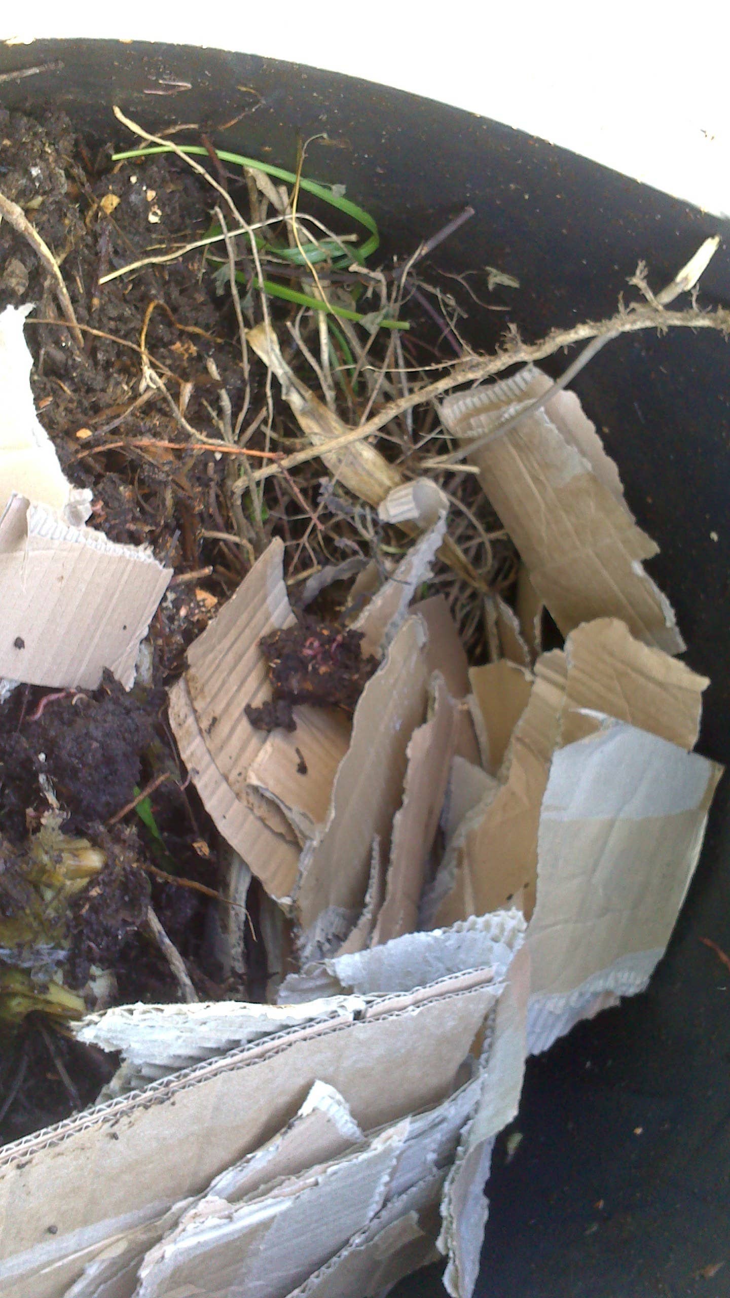 How to Fix Slimy Compost and Stop It From Turning to Sludge - Dengarden