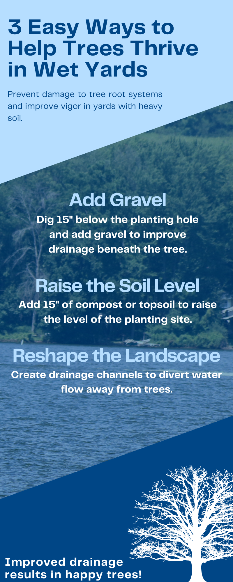 Trees and Shrubs That Like Wet Soil, Plus Growing Tips - Dengarden