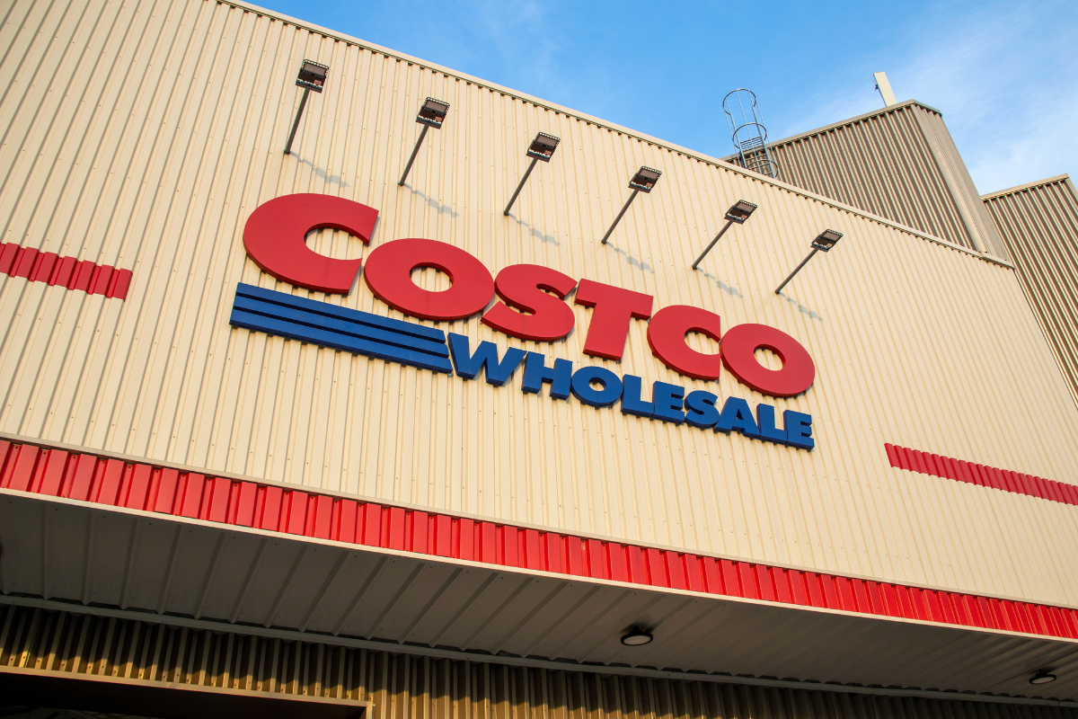 Costco Is Selling Gorgeous Life-Like Bamboo Plant Room Dividers - Dengarden