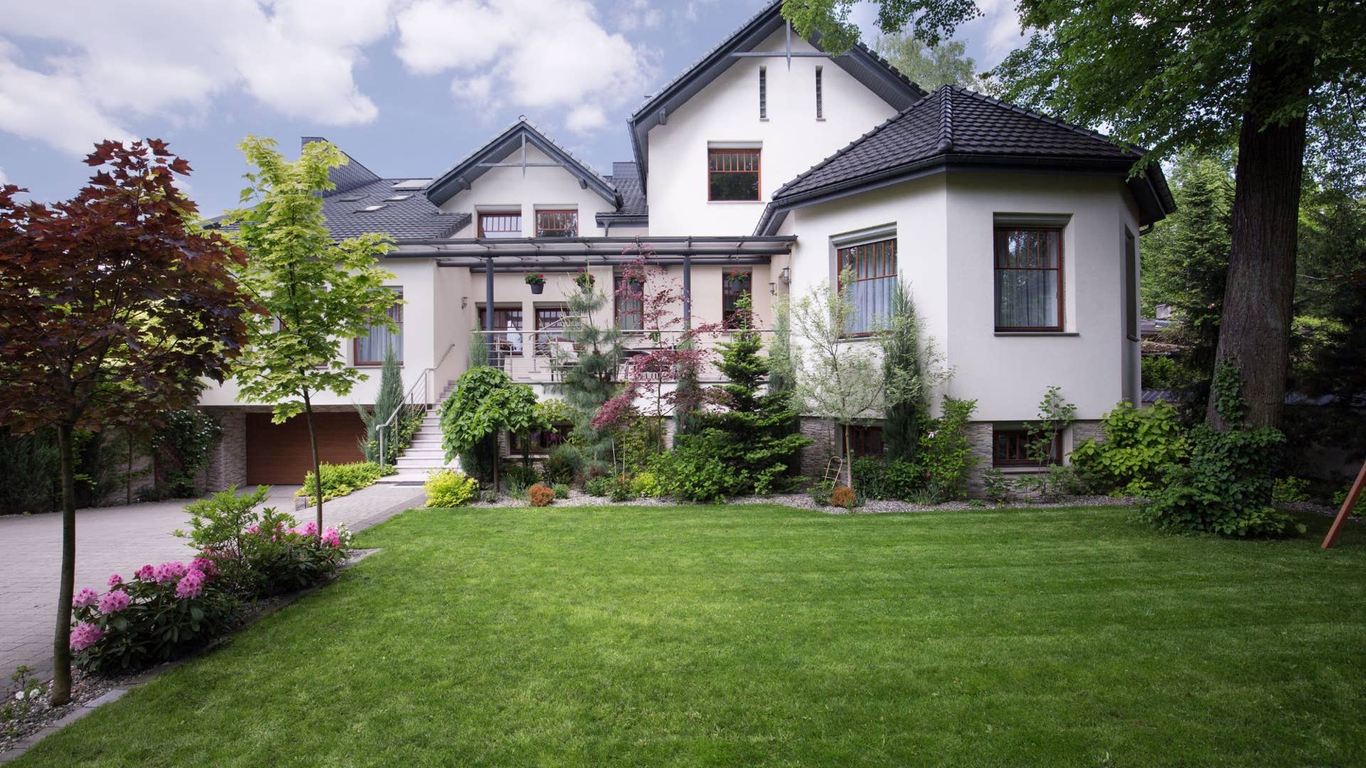 15 Best Trees for Privacy That Grow Fast and Look Beautiful - Dengarden