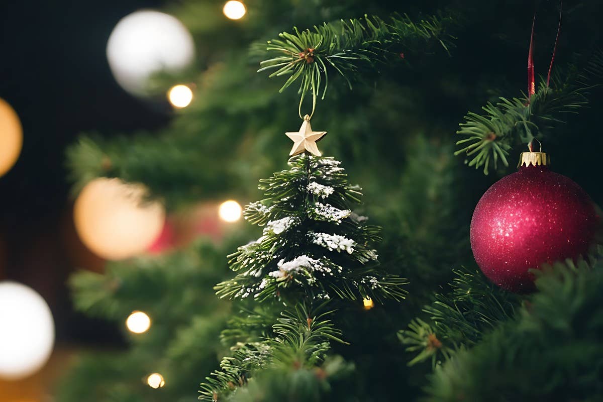 Target Just Dropped a Huge 50% Off Sale on Christmas Trees—Including a ...