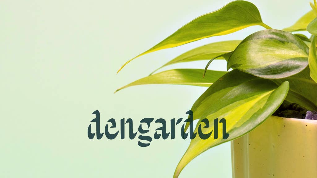 Gardening: Tips, DIY Projects, Plant Care & Outdoor Ideas - Dengarden