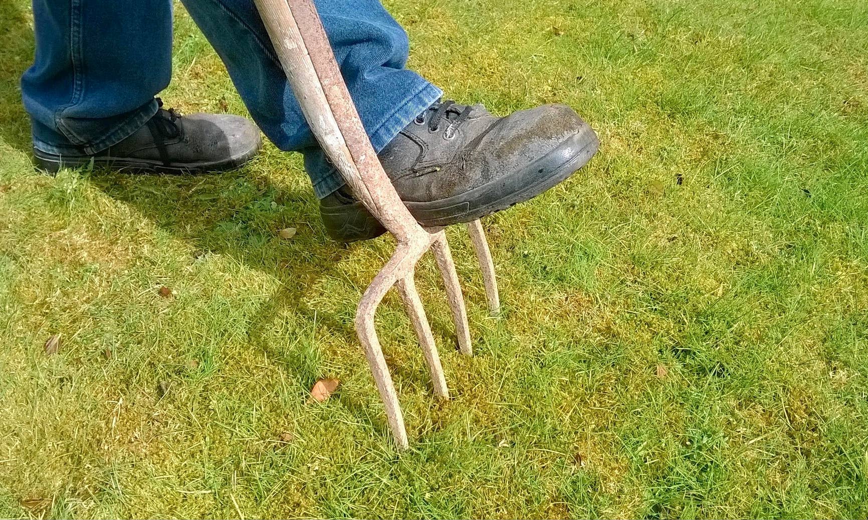 How, When, and Why to Aerate Your Lawn or Soil - Dengarden