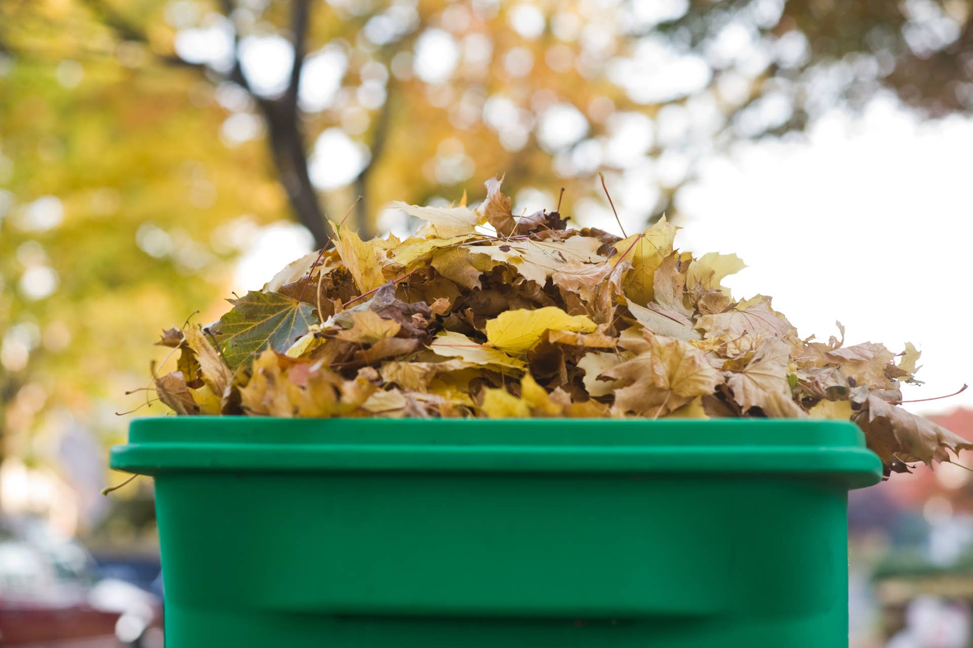 How to Compost Leaves for Nutrient Rich Soil Next Year - Dengarden