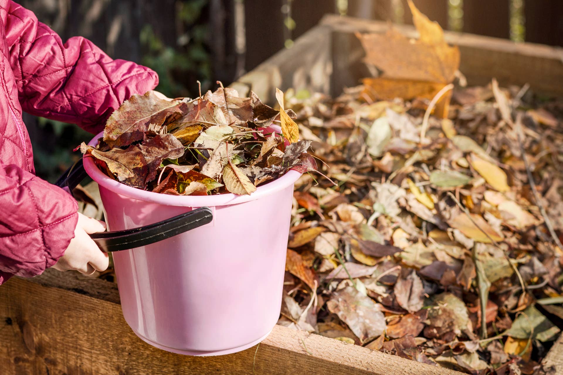 How to Compost Leaves for Nutrient Rich Soil Next Year - Dengarden