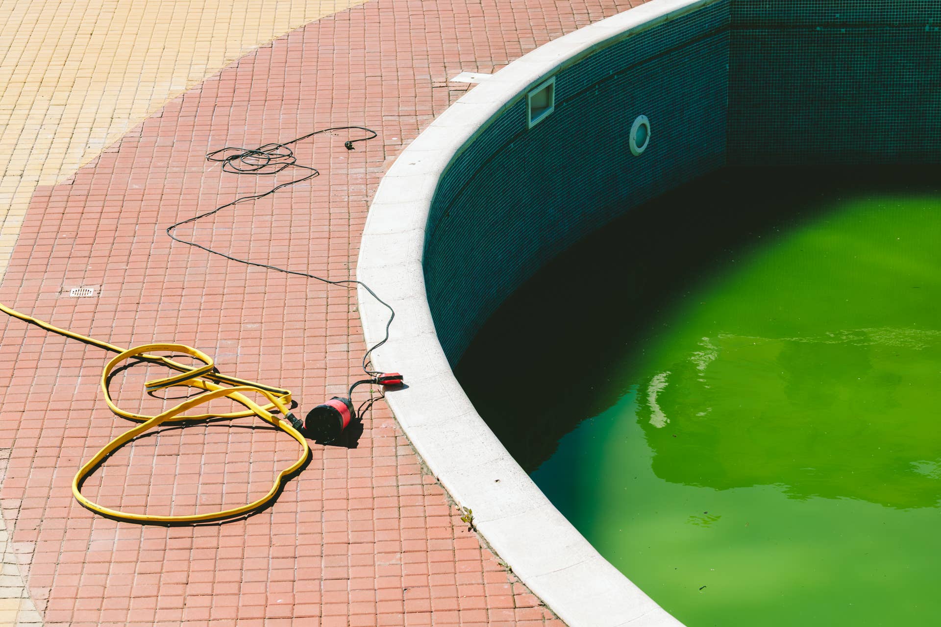 How to Get Rid of Algae in a Pool Naturally Without Chemicals - Dengarden