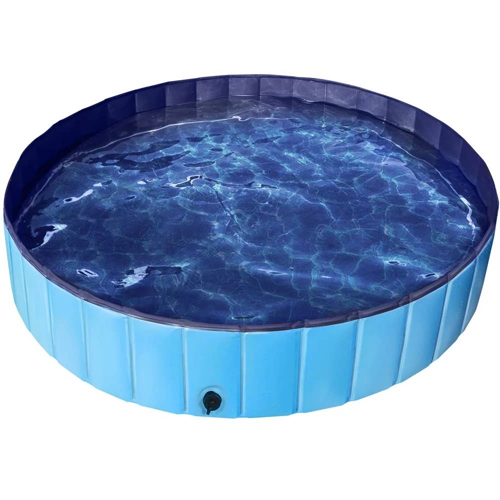 Here Are The Best Sales on Dog Supplies at Walmart Right Now - Dengarden
