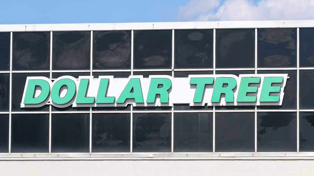 The Best Dollar Tree Cleaning Dupes, According to Customers - Dengarden