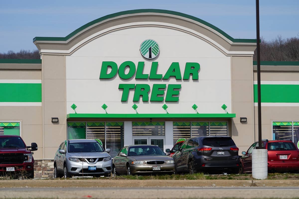 15 Dollar Tree Organization Ideas15 Dollar Tree Organization Ideas ...