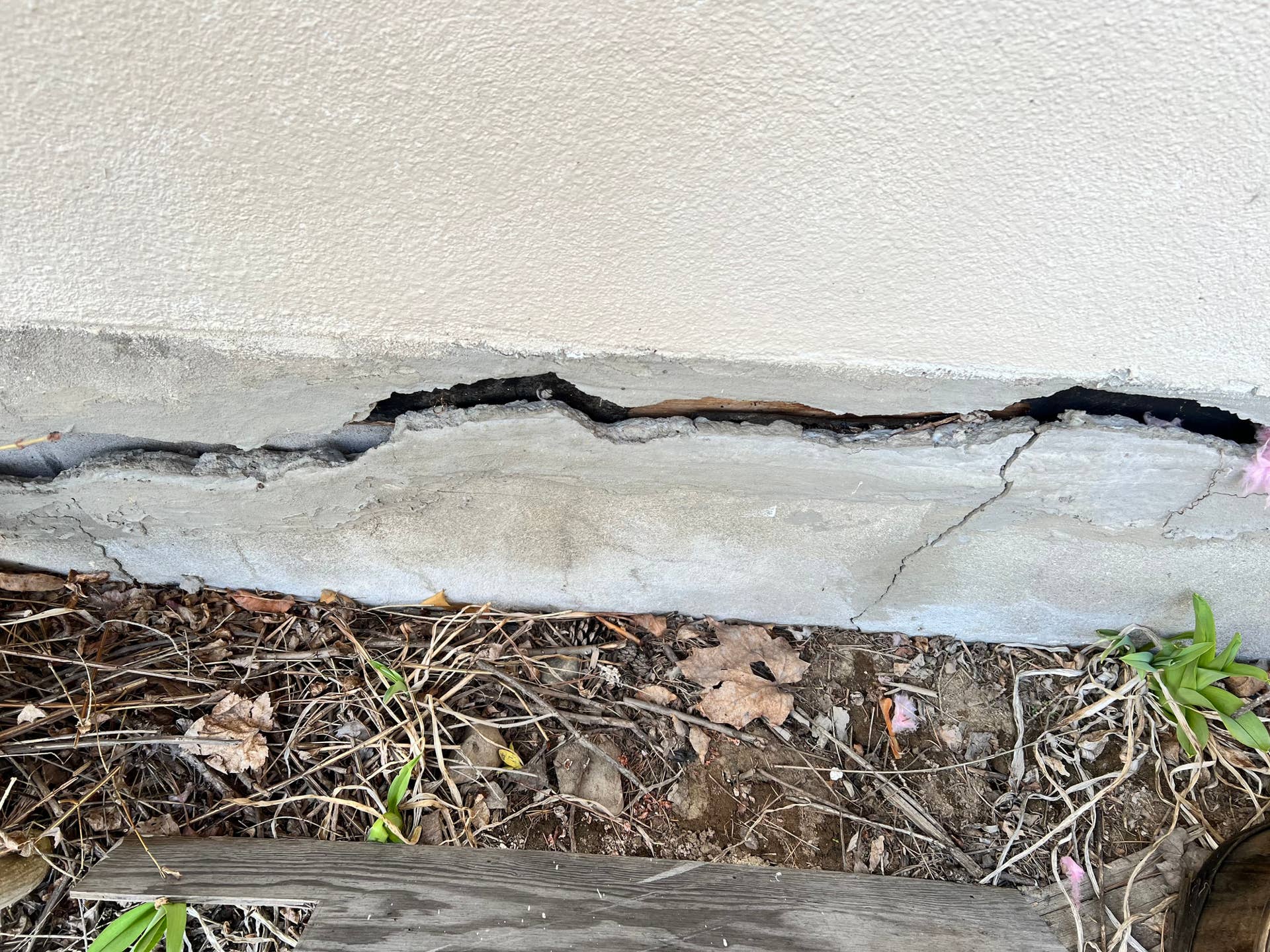 Why Clean Your Gutters: 3 Things That Can Happen if You Skip This Fall ...
