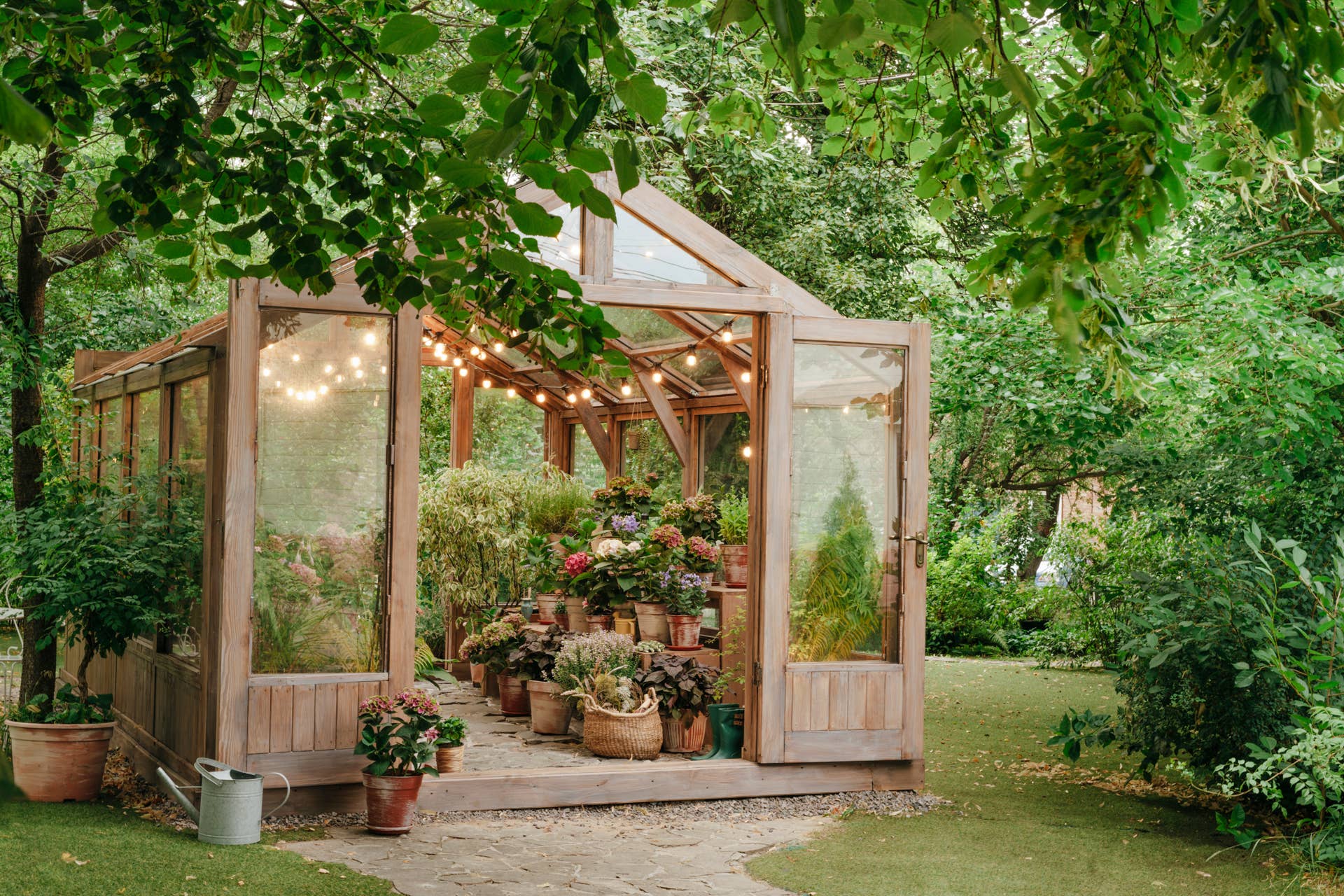 10 Best Plants To Grow in a Greenhouse - Dengarden