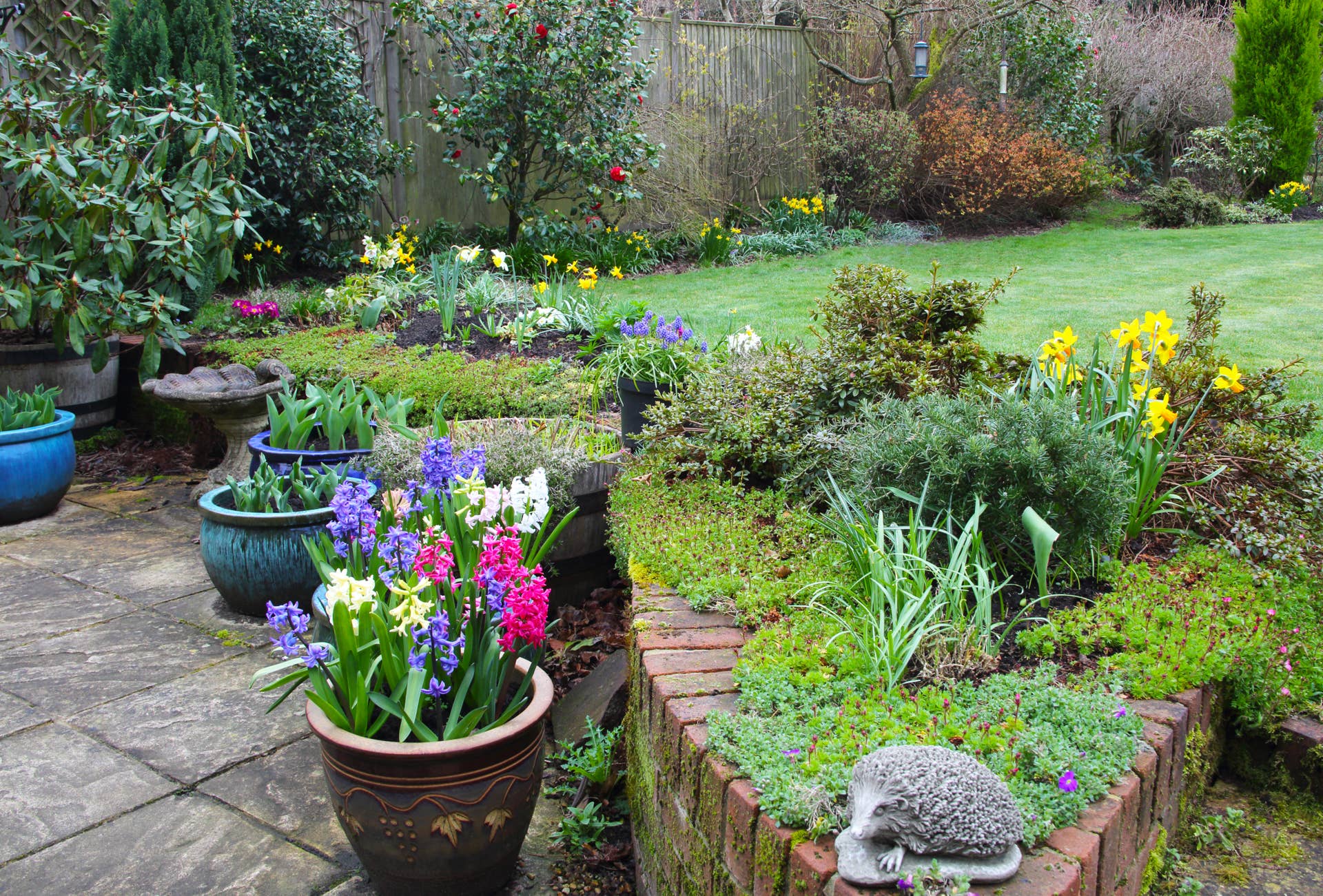 The 2026 Garden Trends You Need to Know Before Spring - Dengarden