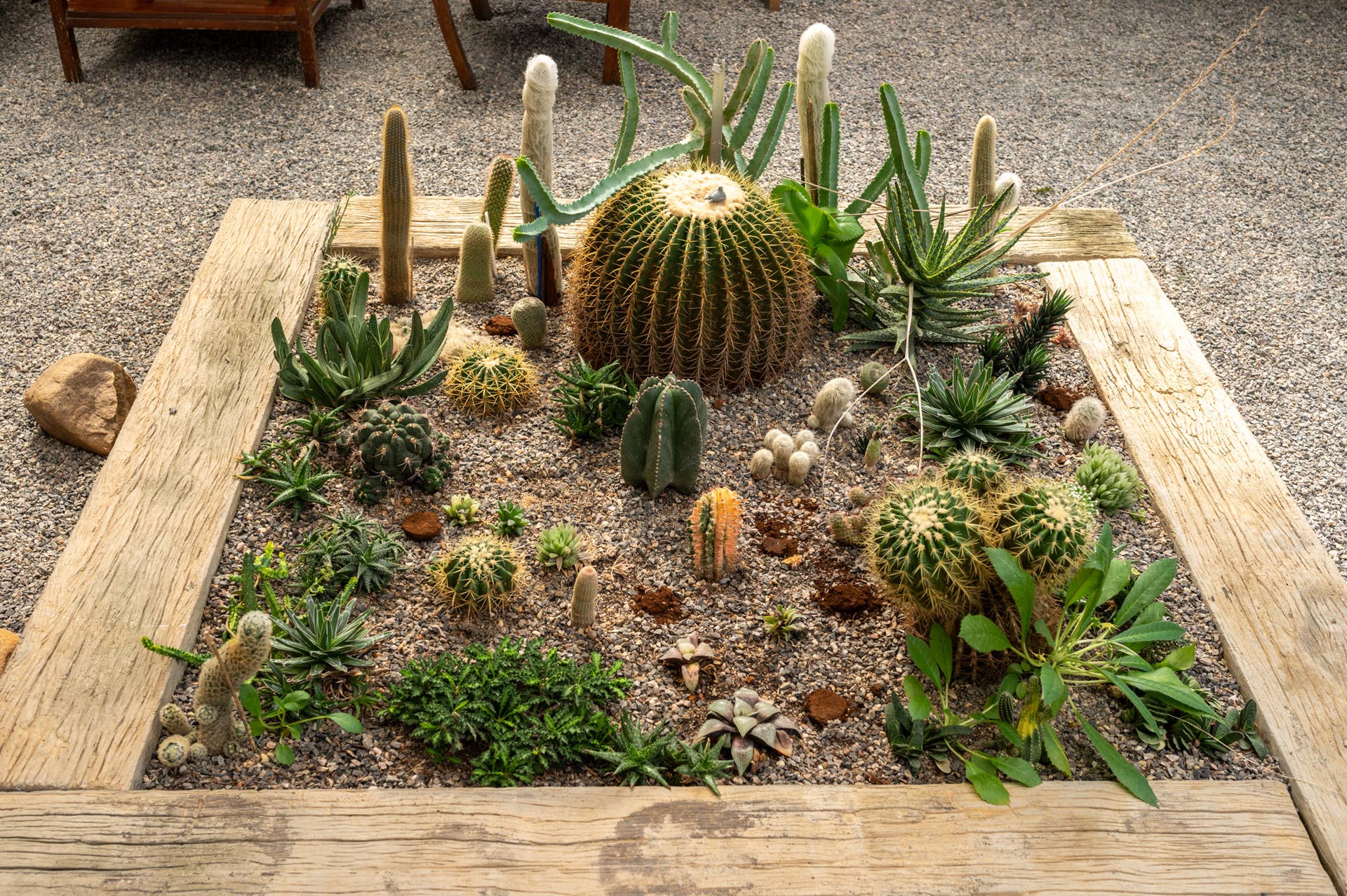 18 Small Space Garden Ideas That Pack a Colorful Punch - Dengarden