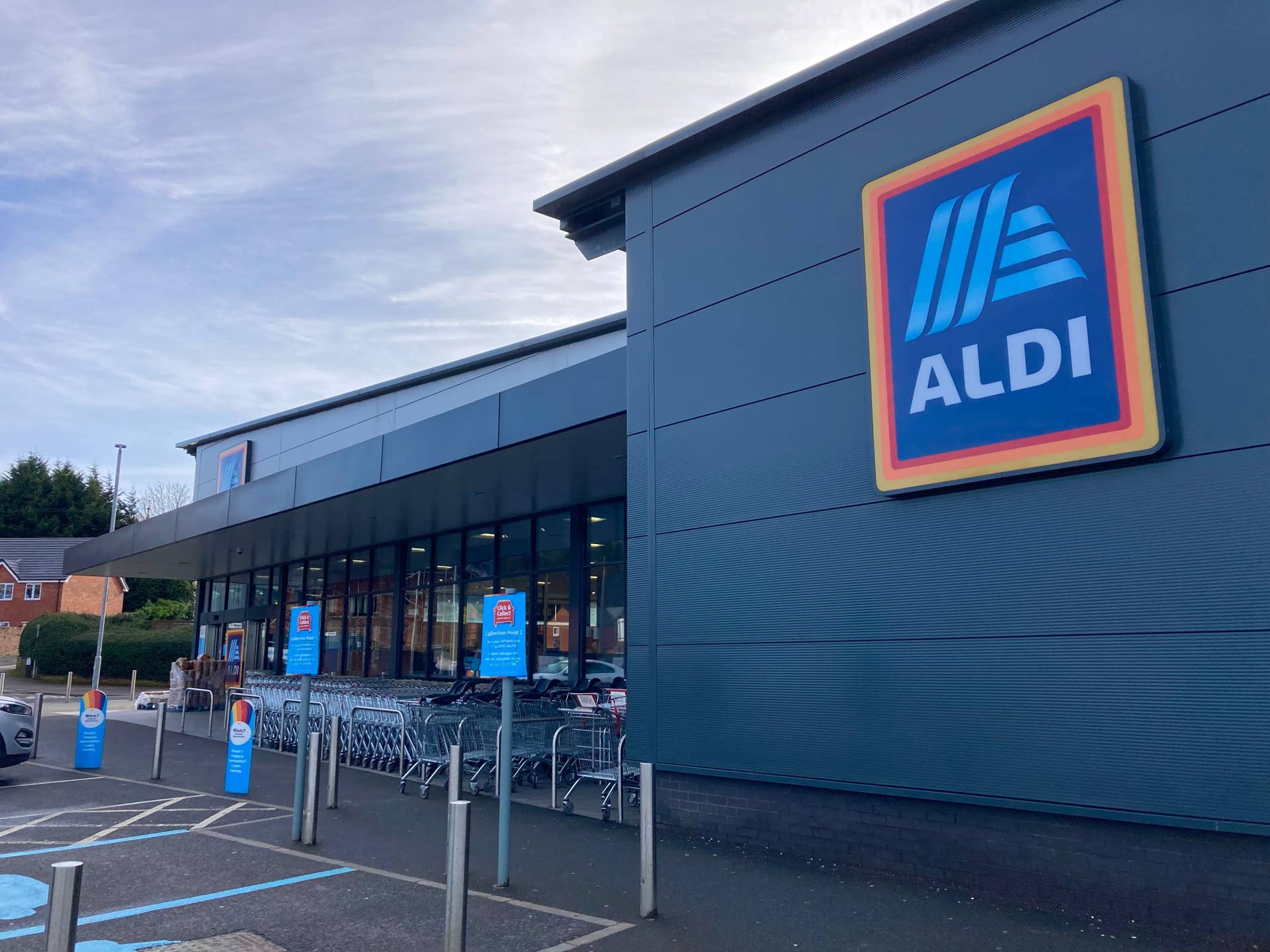 Aldi’s New Spring Accent Rugs Are Here - Dengarden