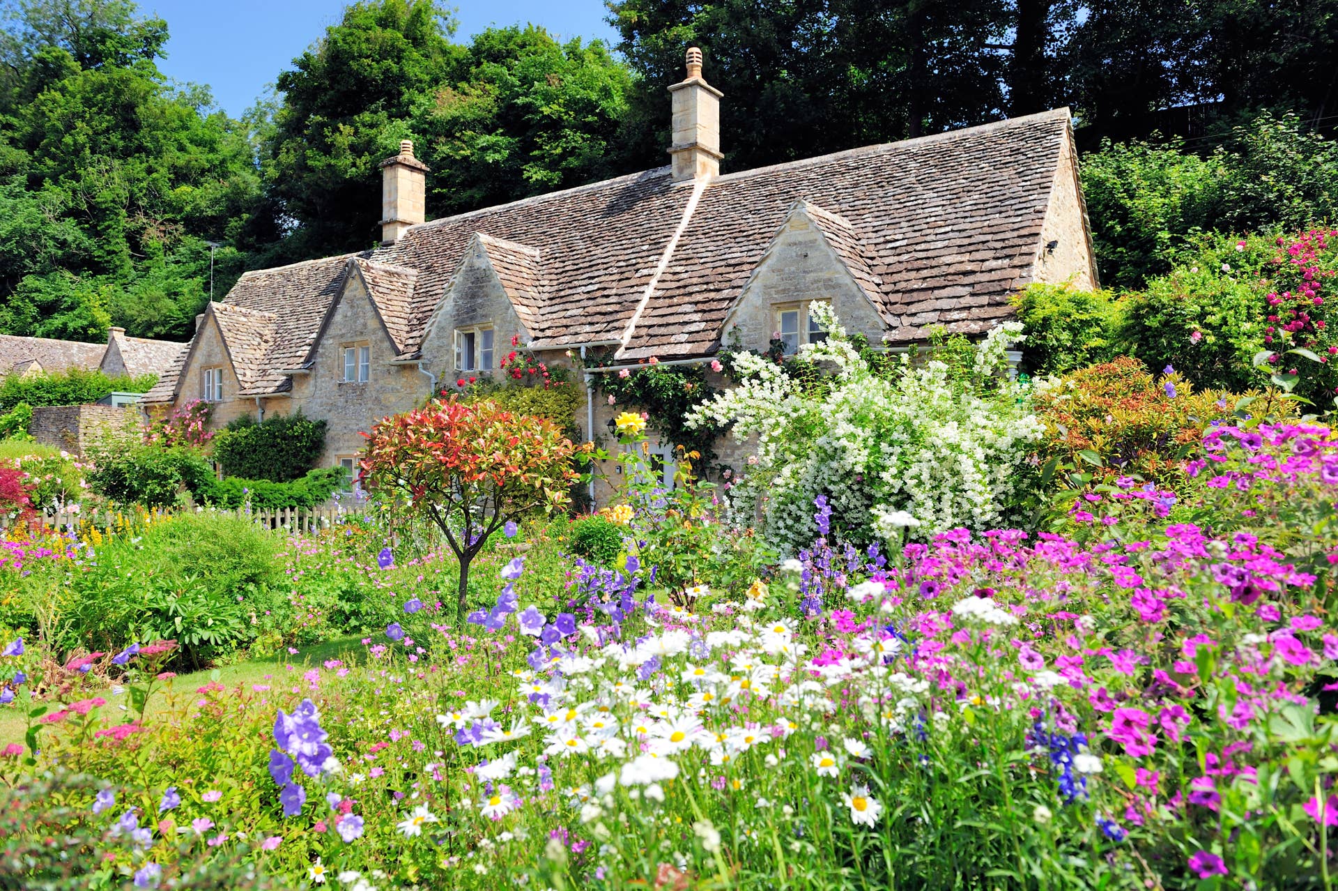 8 Cottage Garden Plants That Practically Take Care of Themselves ...