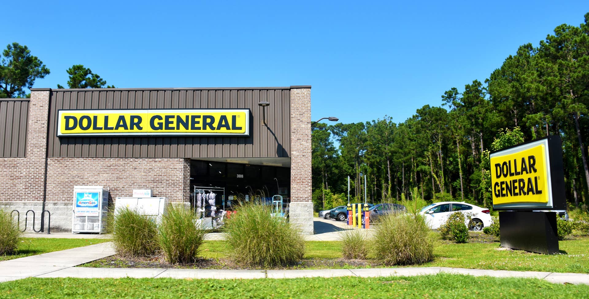 Dollar General’s $6 Solar Lanterns Add Instant Charm to Any Garden ...