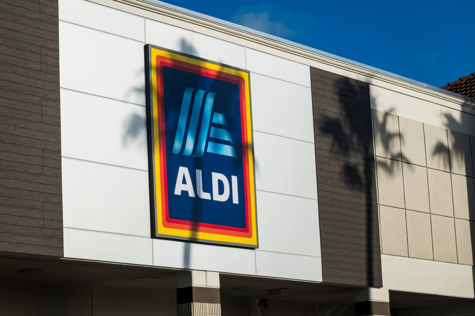 Aldi’s New Spring Accent Rugs Are Here - Dengarden