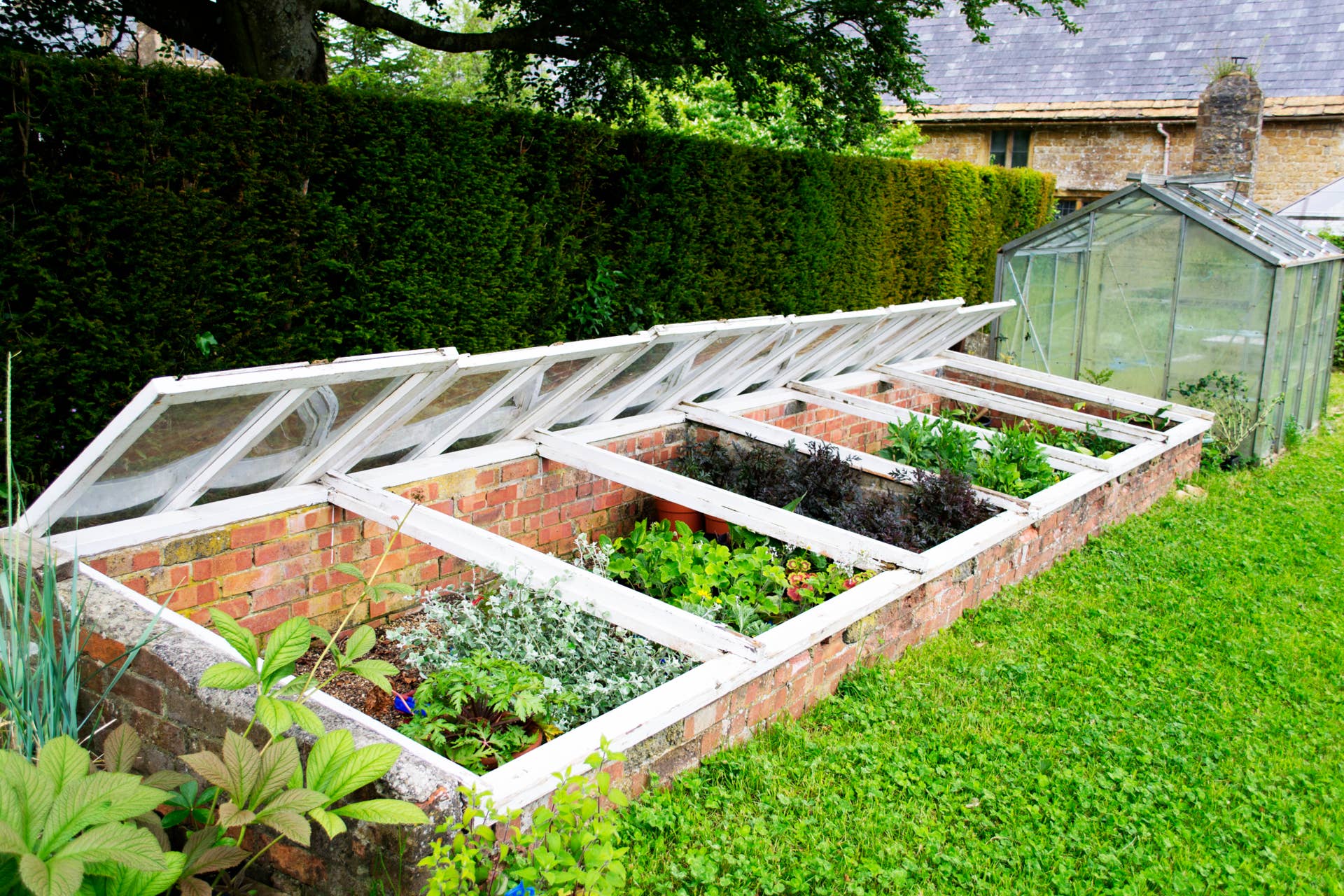 What Is A Cold Frame Garden And How To Start Your Own - Dengarden