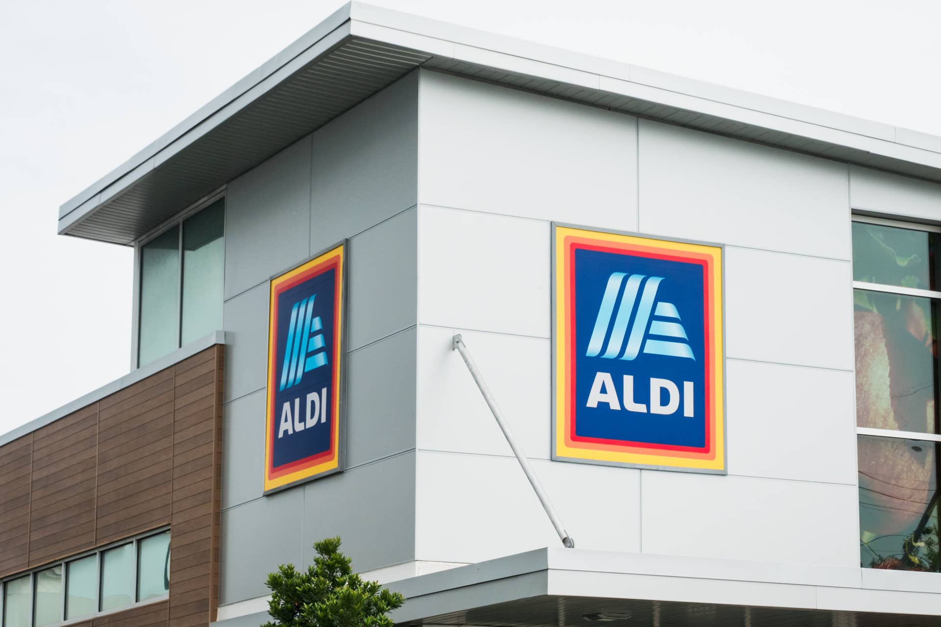Aldi’s $40 Raised Planter Looks So High-End, No One Will Guess the ...