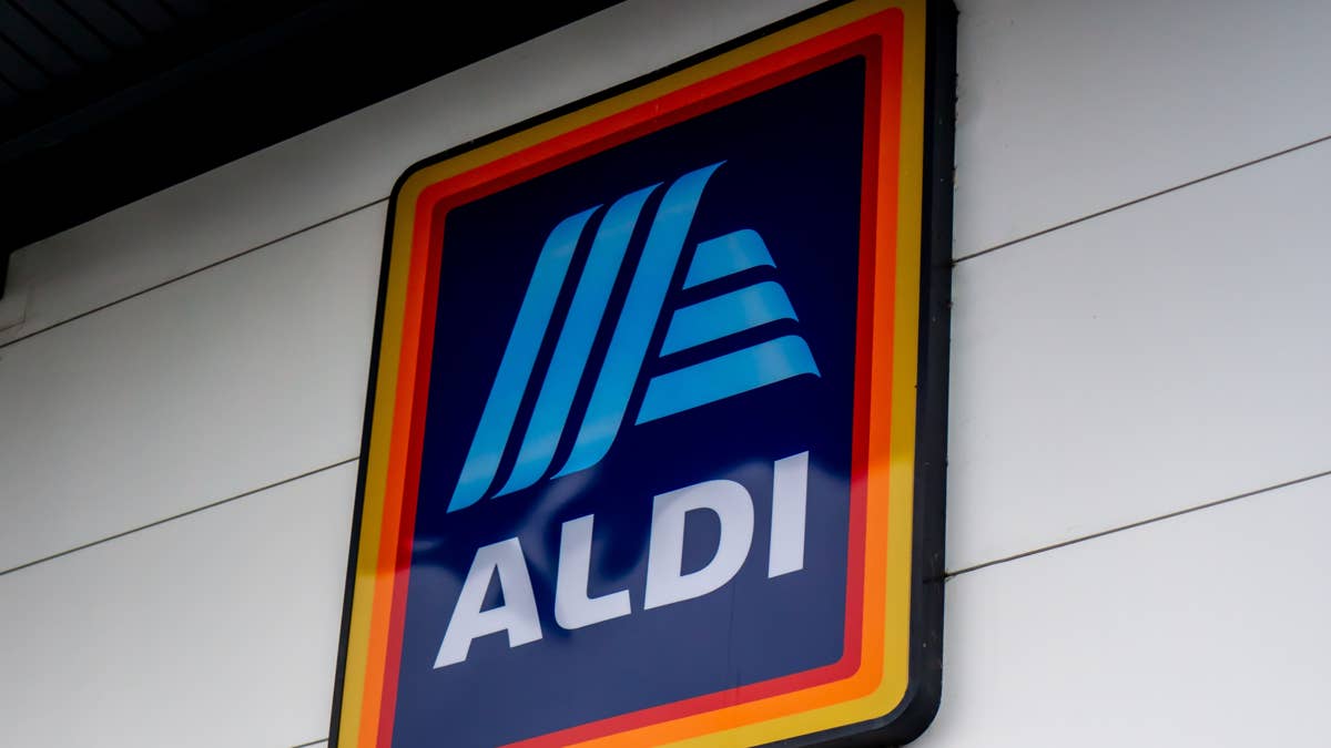 Aldi Just Dropped the Prettiest Book-Shaped Vases for Only $10 - Dengarden