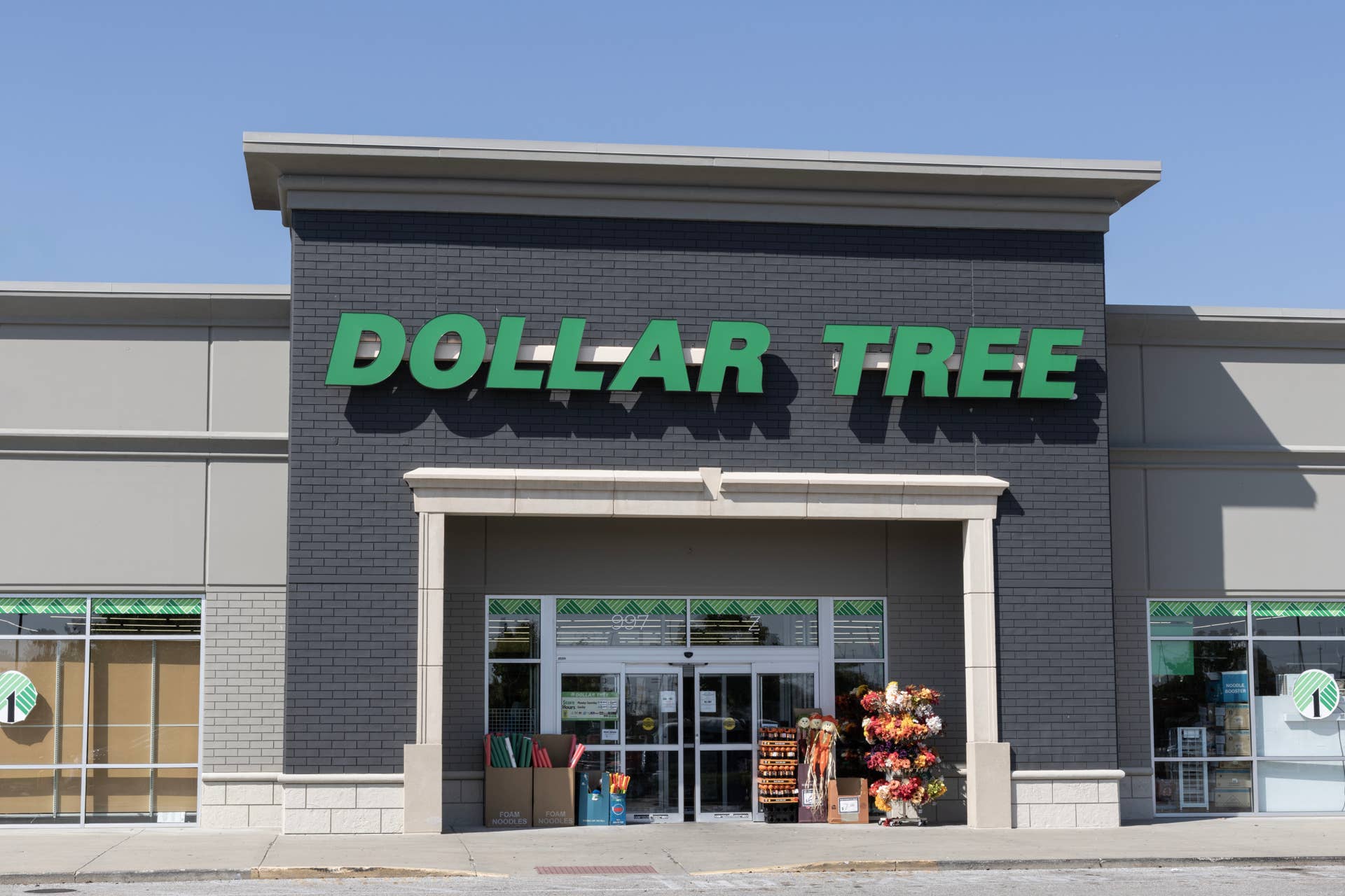 Dollar Tree's Tulip Solar Lights Are So Whimsical for $1.50 - Dengarden