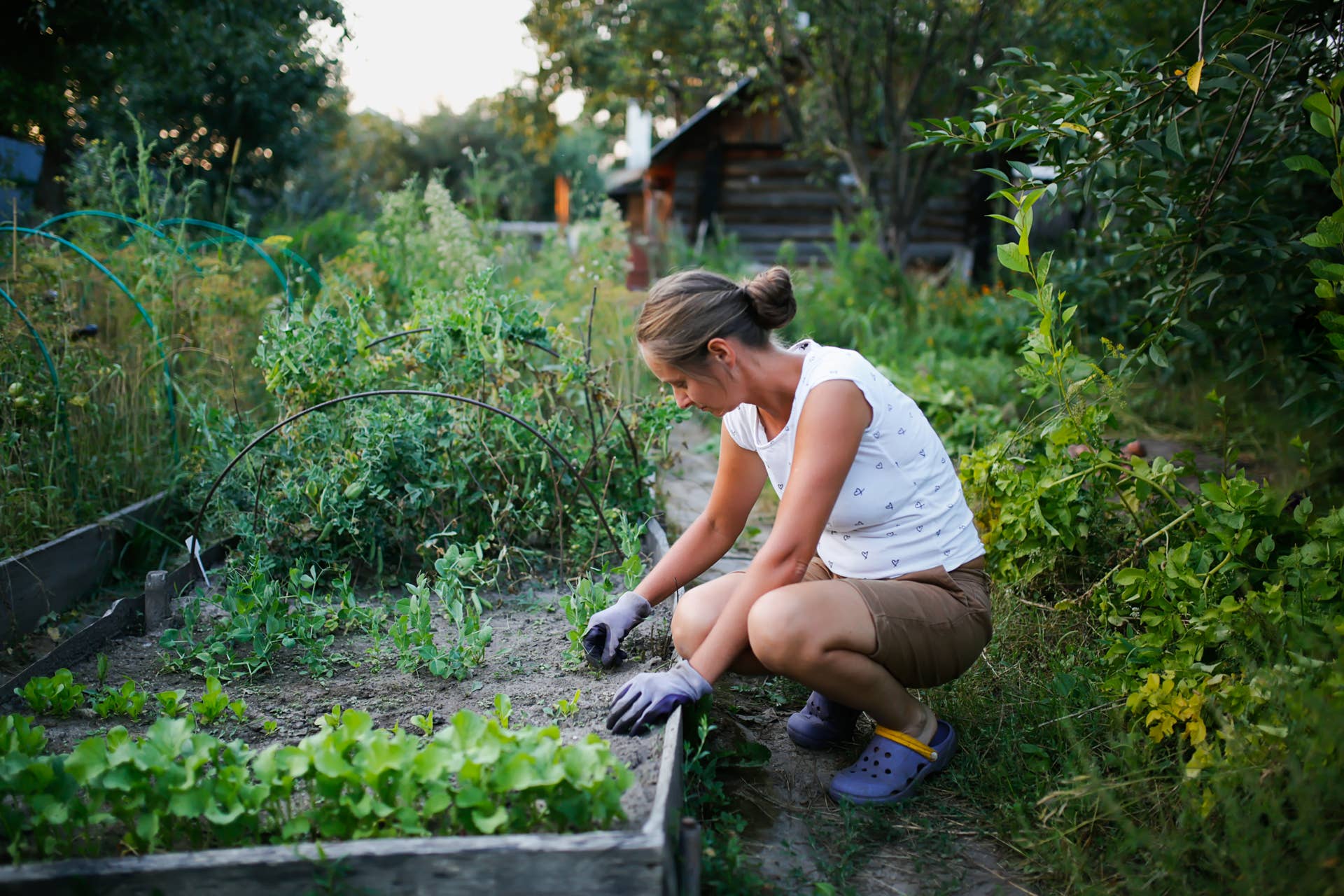 10 Ways to Get Rid of Weeds, According to Experts - Dengarden