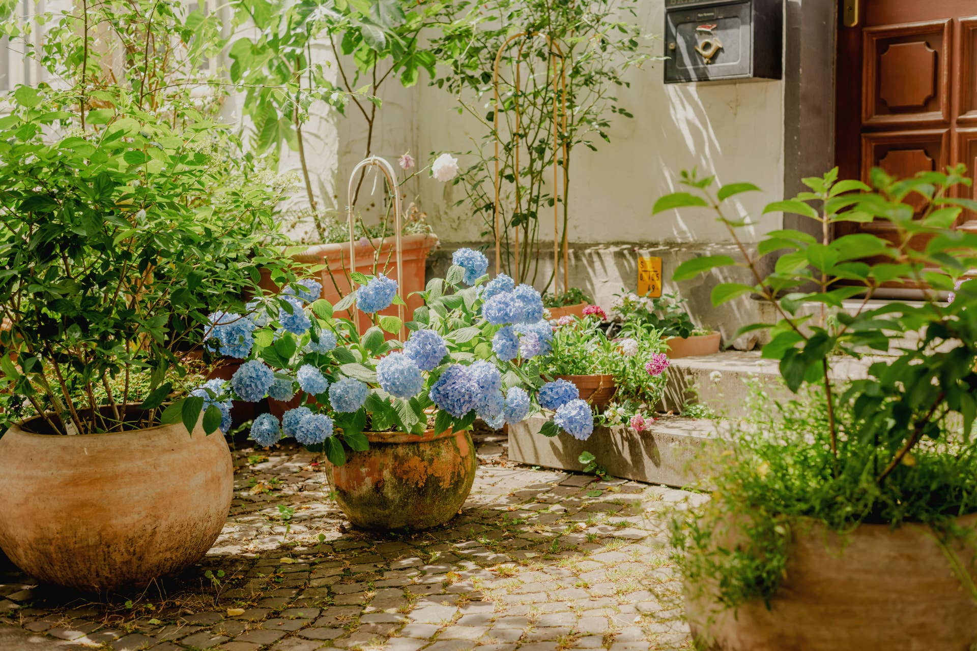 5 Home Trends on the Rise for Summer 2026, According to Houzz - Dengarden