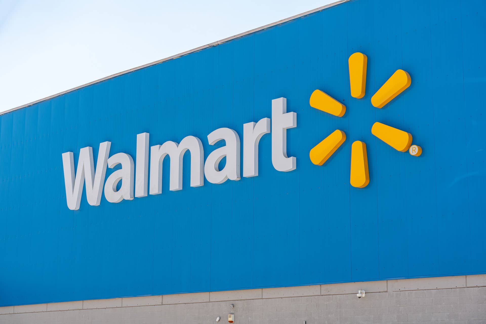 Walmart’s $20 Porch Goose Is Spring’s Hottest Decor - Dengarden