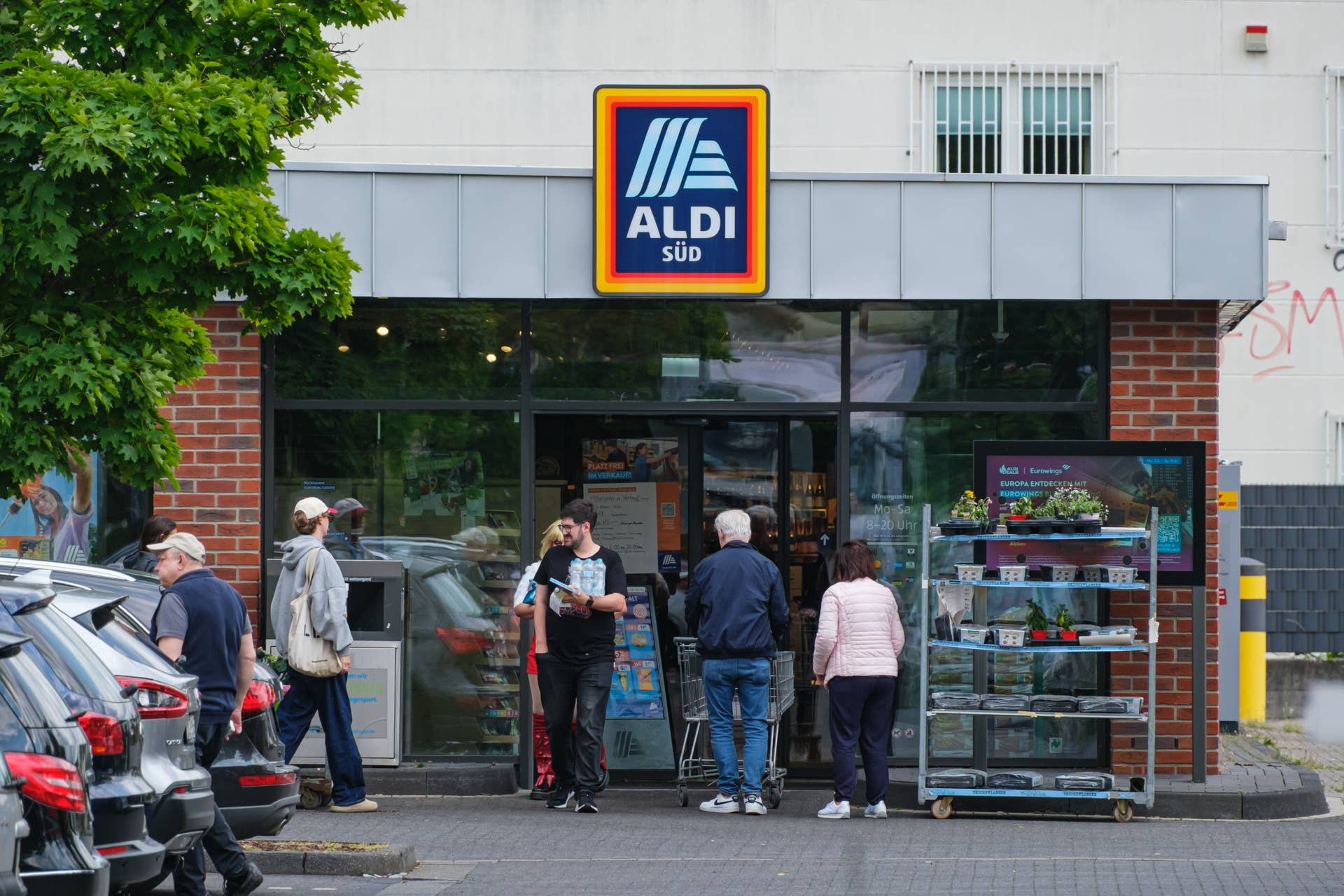 Aldi Is Bringing Back the Perfect Outdoor Spring Planters - Dengarden