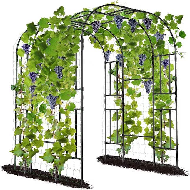 Lowe’s Garden Arch Trellis Adds Vertical Space and Style - Dengarden