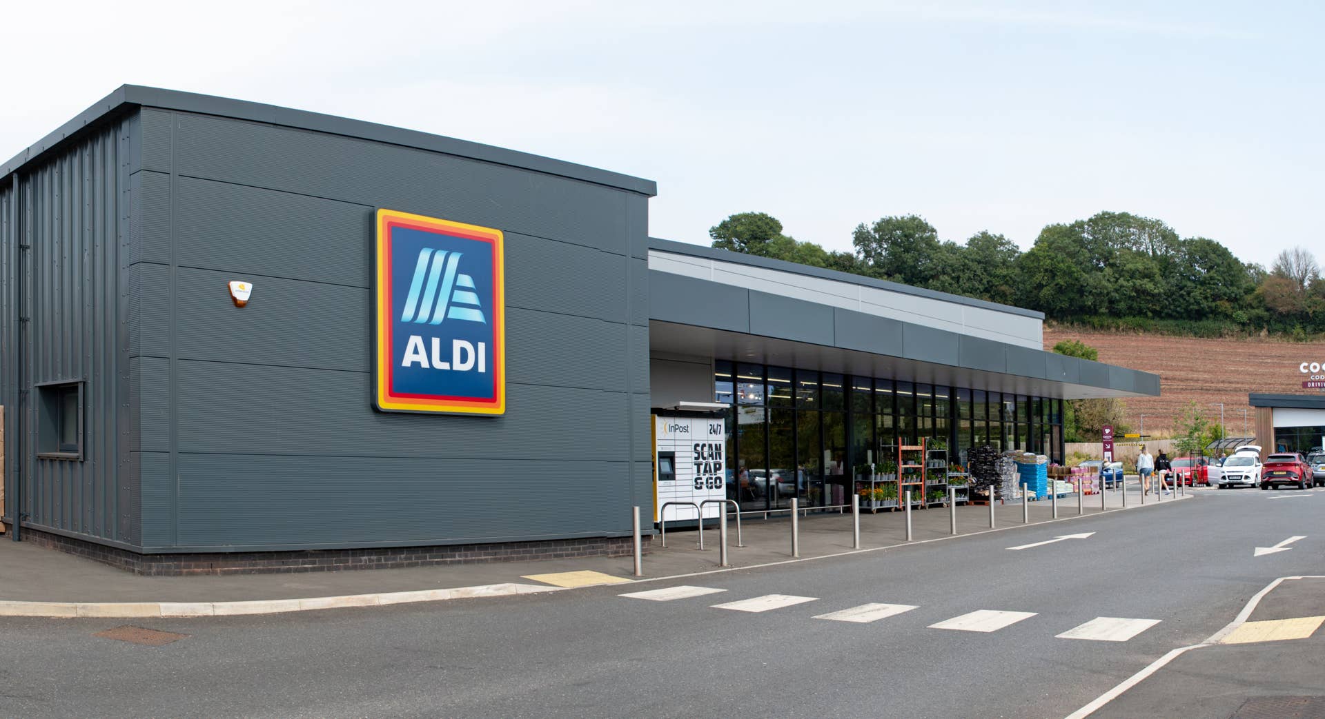 This $7 Aldi Find Is a Game-Changer for Yard Cleanup - Dengarden