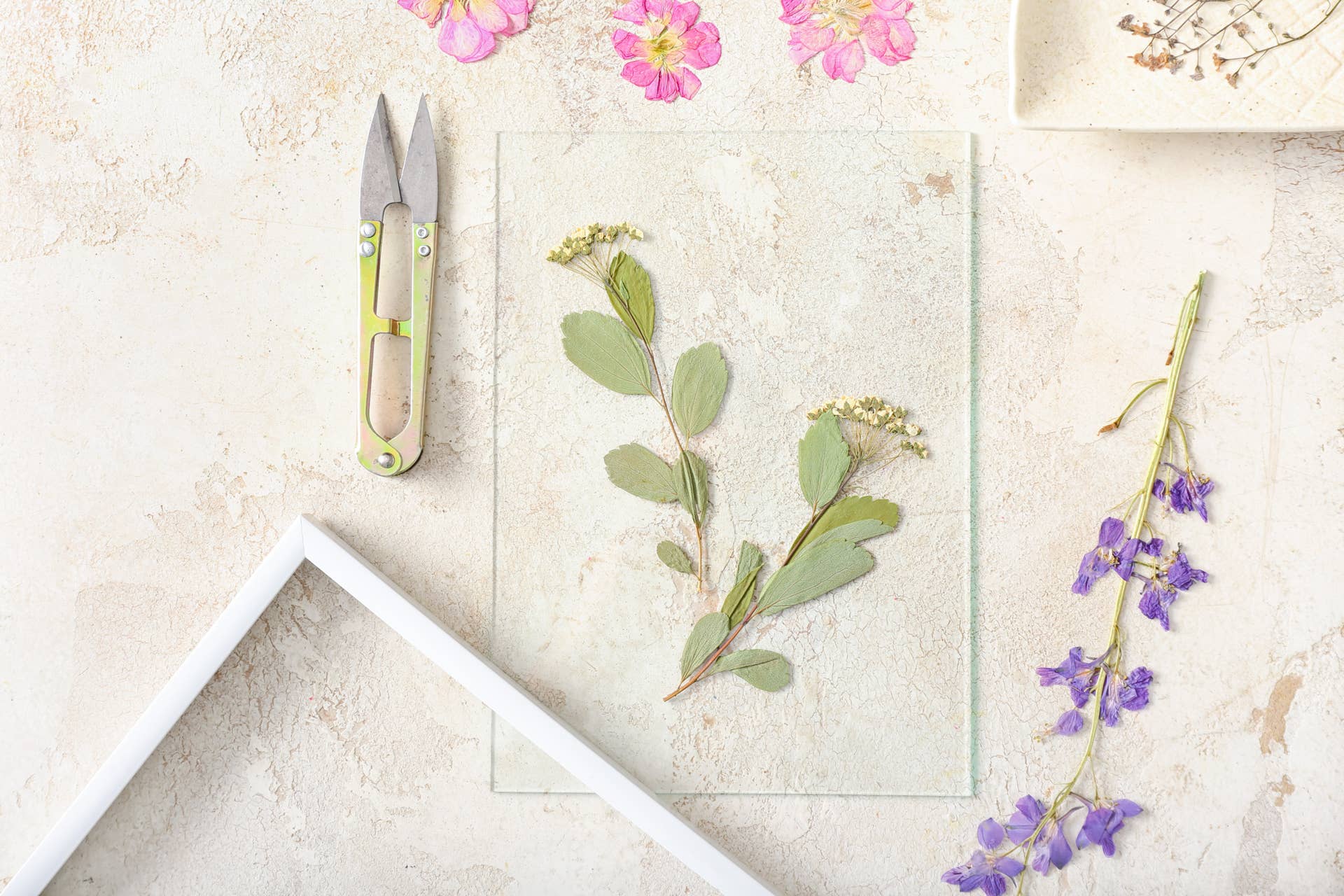 Turn Tiny Handprints Into Beautiful Fresh Flower Keepsake Frames ...