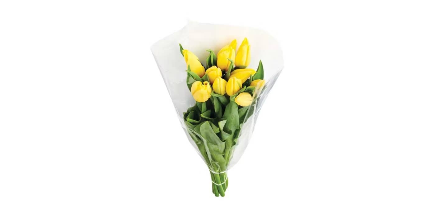 Aldi’s Lineup of Classic Flowers Is Perfect for Spring - Dengarden