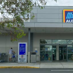 Aldi's $8 Collapsible Tub Is an Incredibly Useful Find - Dengarden