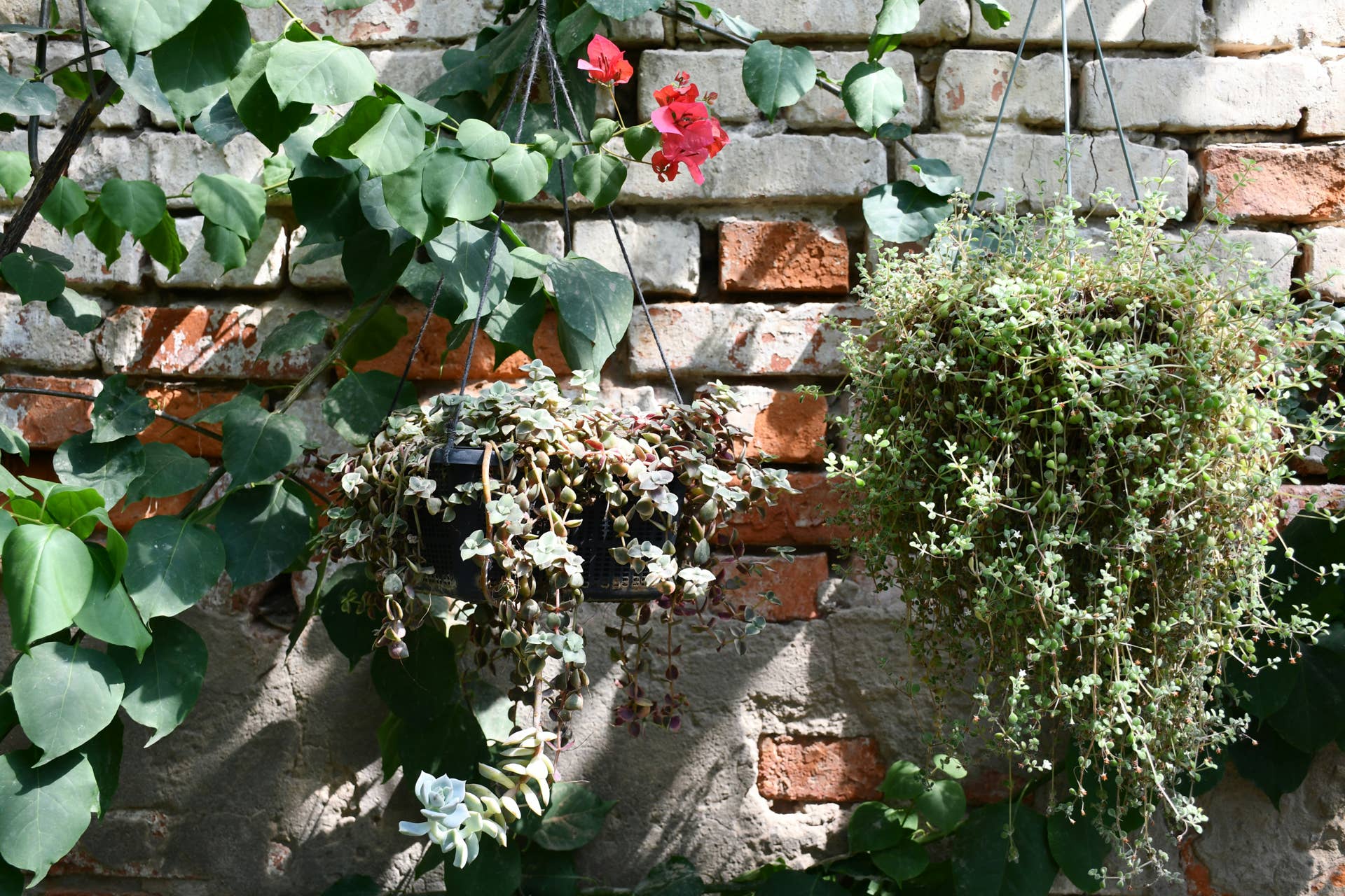 5 Patio Items That Are Usually Cheaper at the Thrift Store - Dengarden