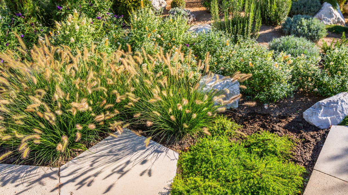 Low-Maintenance Landscaping: Create an Easy-to-Manage Yard - Dengarden