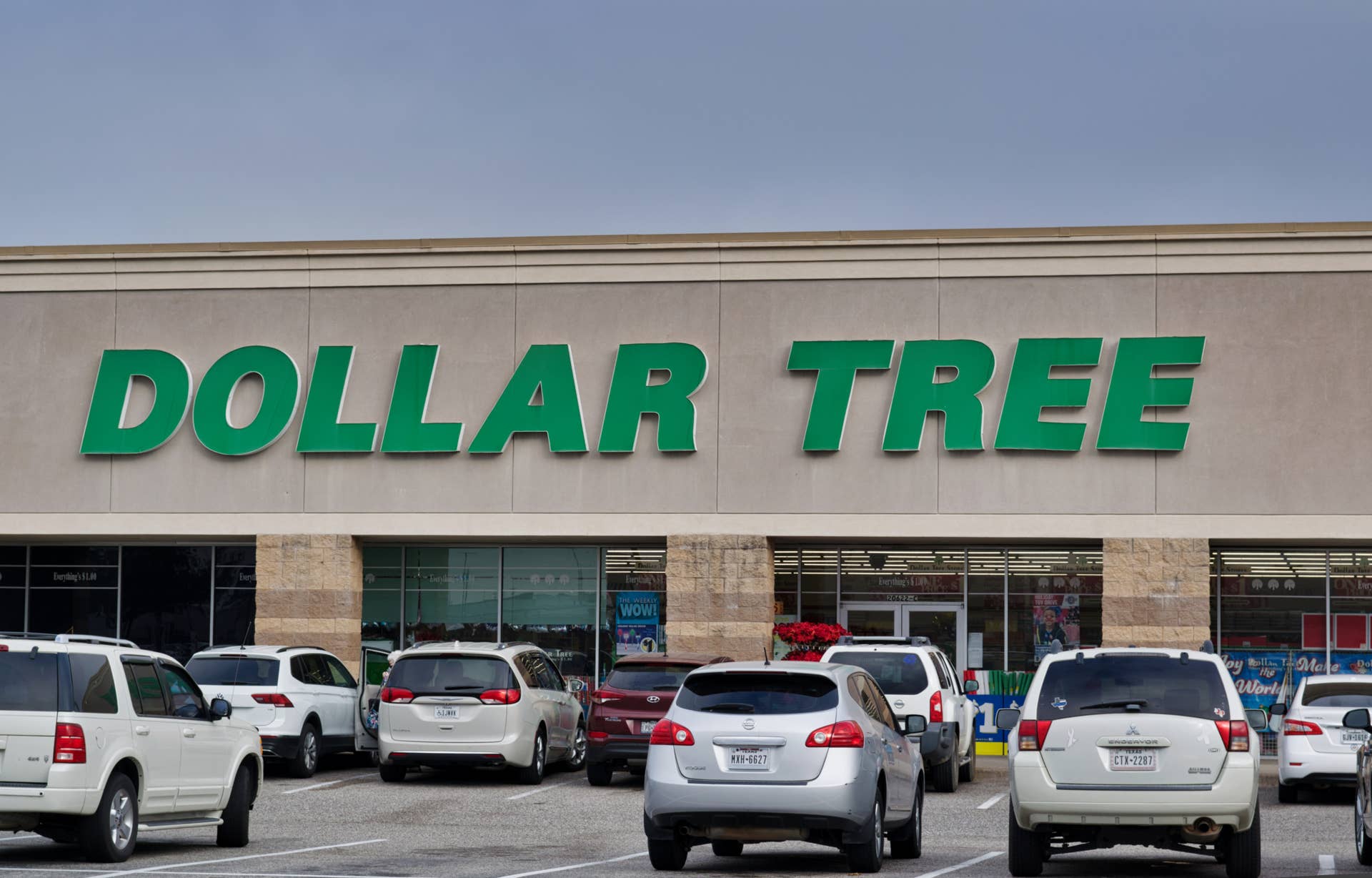 Dollar Tree Home Essentials Haul for Under $15 Shocks Shoppers - Dengarden