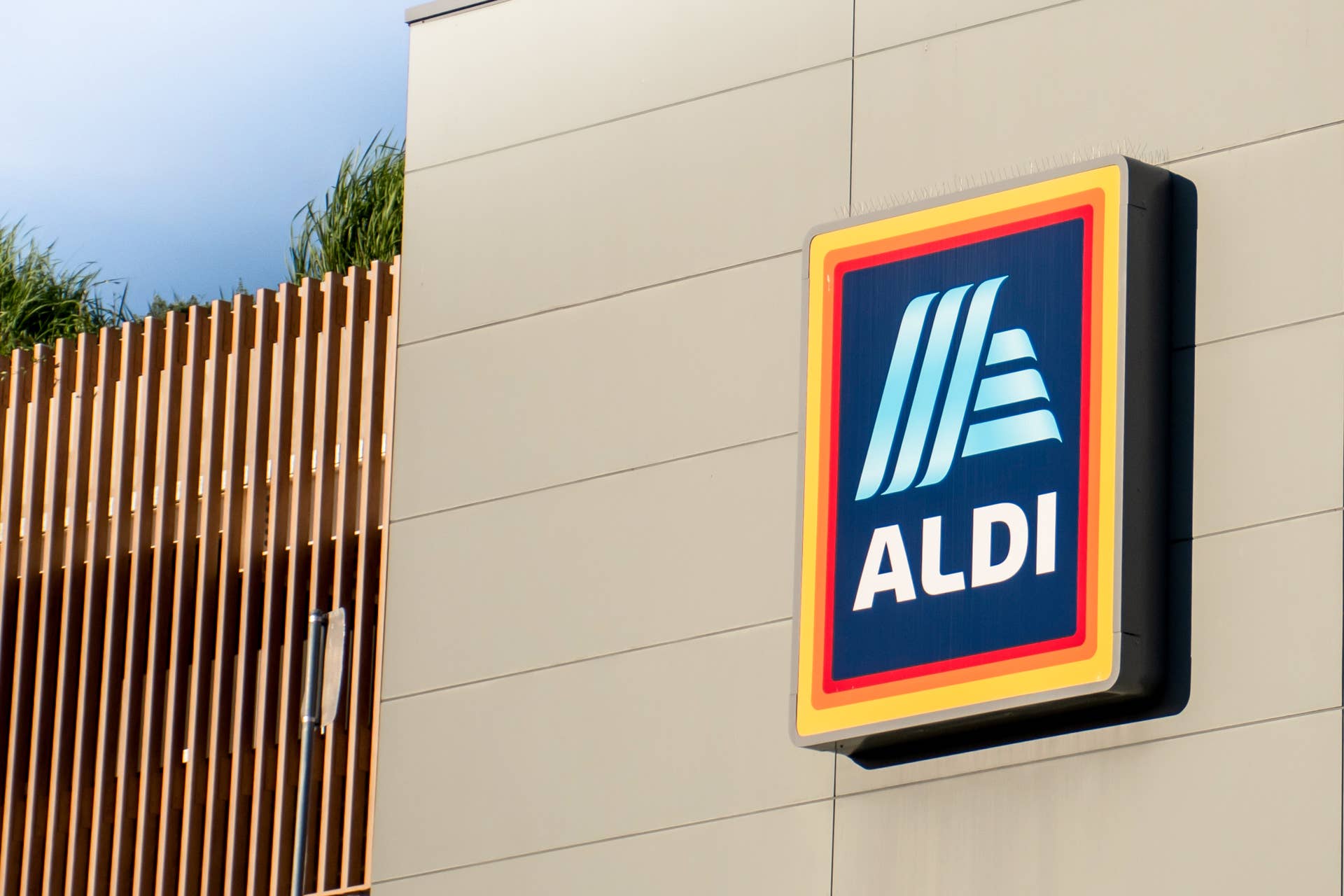 Keep Summer Pests Away With Aldi’s $7 Chic Bug Repellent Fan - Dengarden