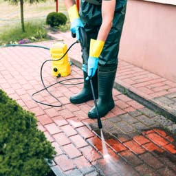 How to Use Sugar to Help Your Lawn This Spring and Summer - Dengarden