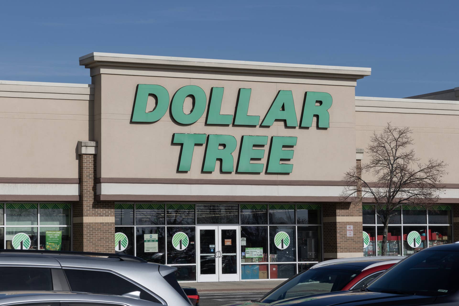 These Adorable Dollar Tree Bags Are Only $1.25 - Dengarden