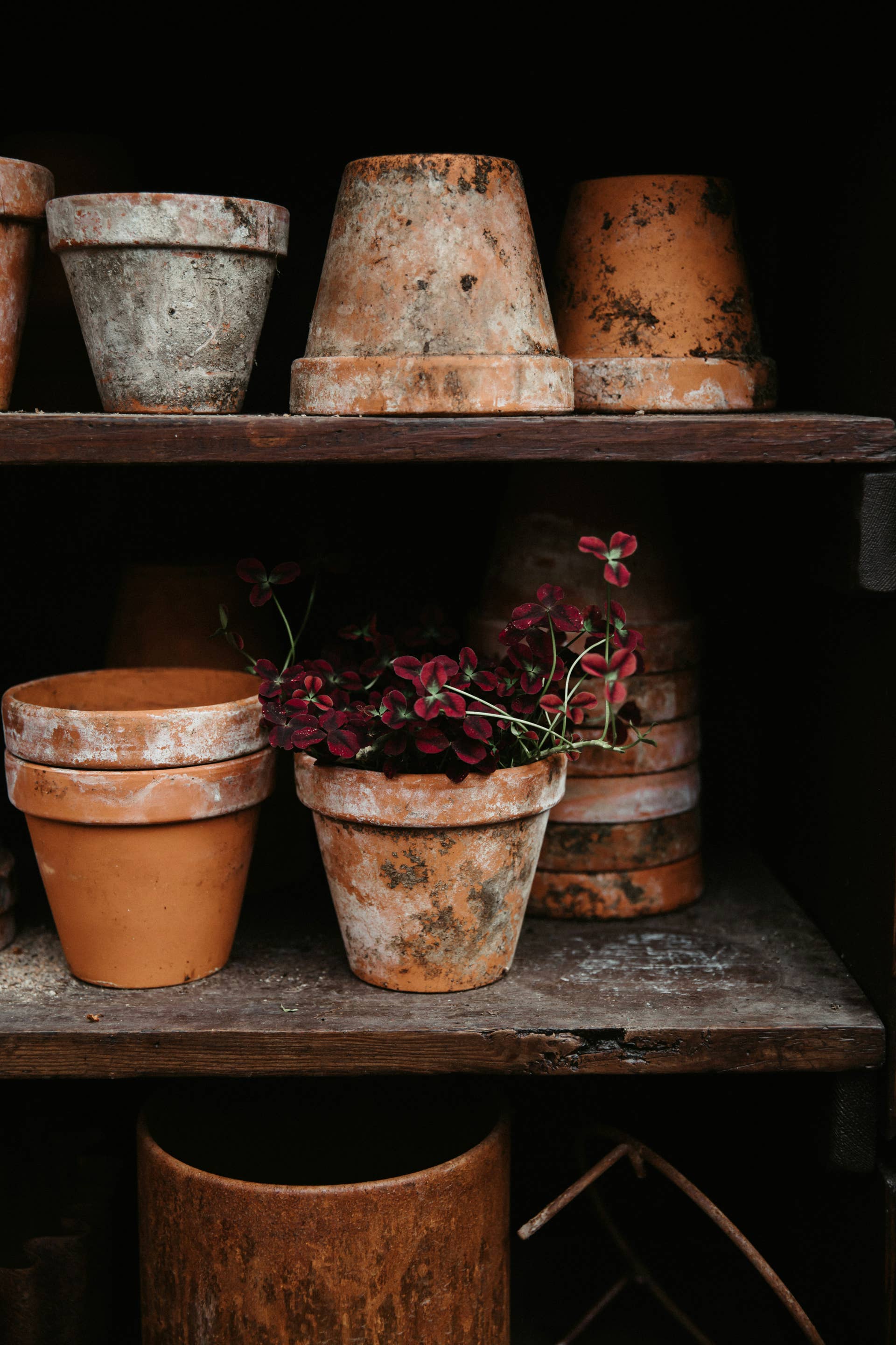 This DIY Turns Plain Planter Pots Into Cute Floral Fairy Houses - Dengarden