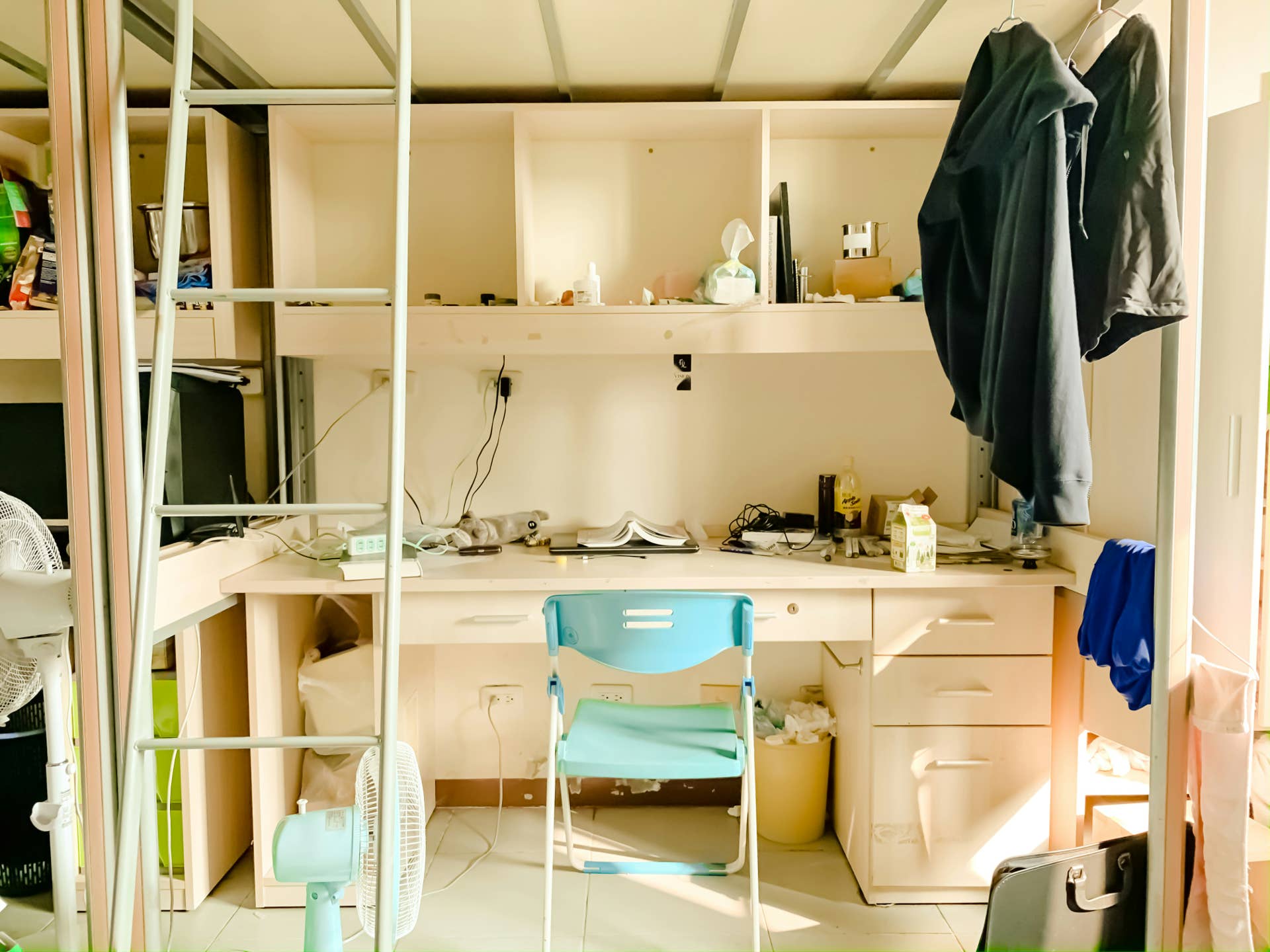 Harvard Student's Viral Dorm Tour Has People Talking - Dengarden
