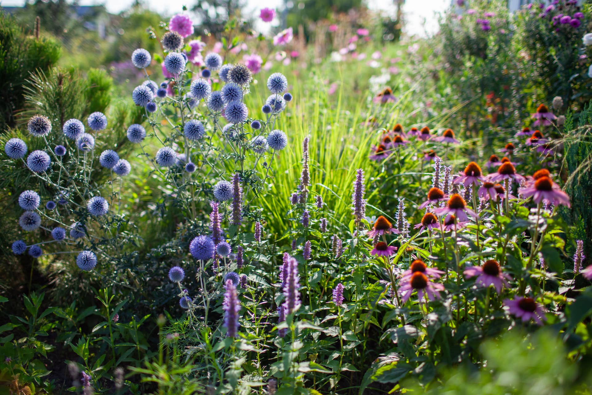 Gardeners Give Their Best Late Summer Mulching Tips - Dengarden