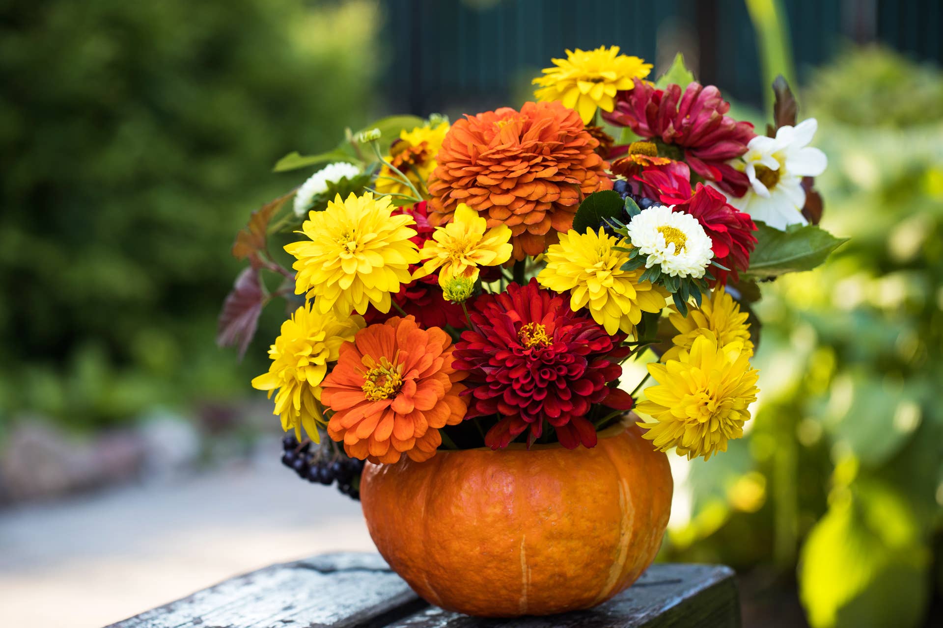 This Pumpkin-to-Planter DIY Is the Prettiest Fall Garden Trend - Dengarden