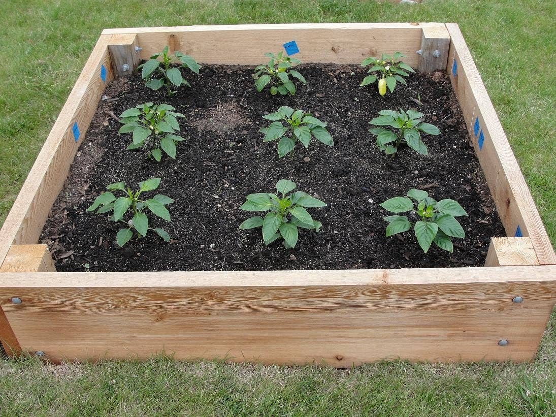 How to Build a Raised Garden Bed: Cheap Prefab Kits & DIY Plans - Dengarden